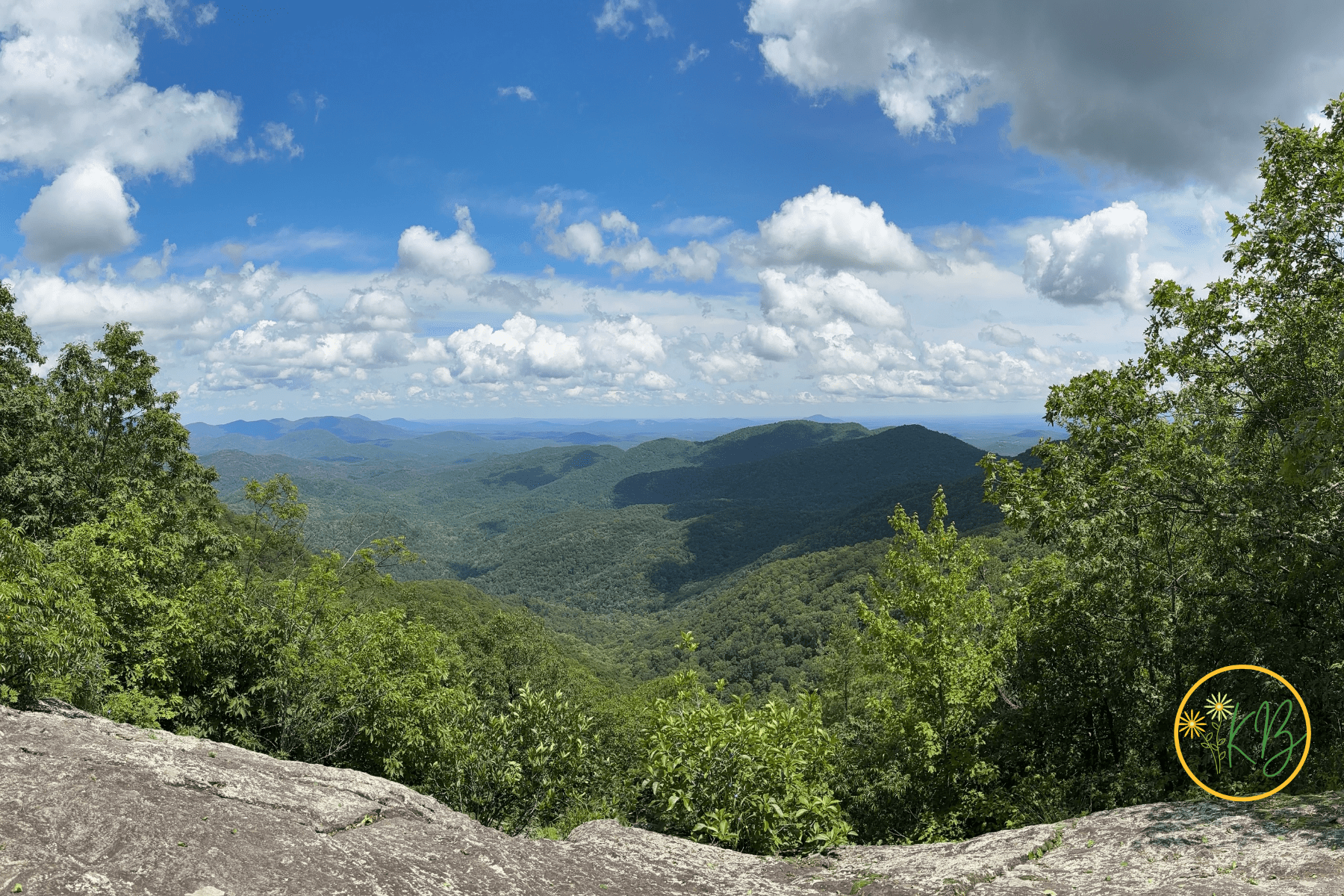 Reclaiming Joy Through the Stillness: Human Design Gate 52 and Gate 58